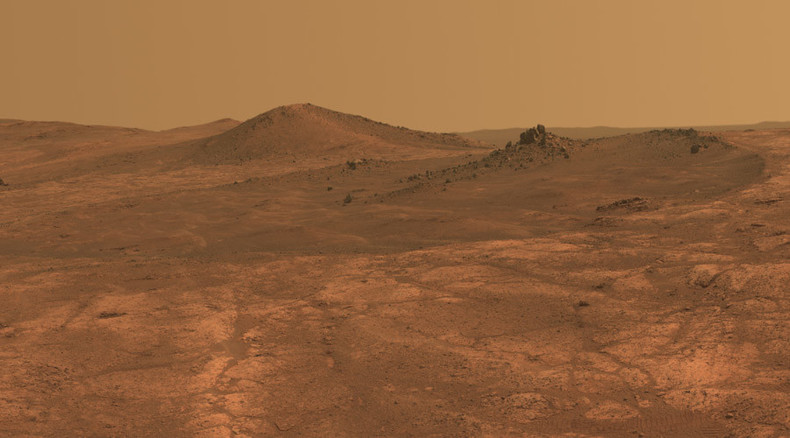 Nuke Mars! Elon Musk offers ‘solution’ to fast track human settlement ...