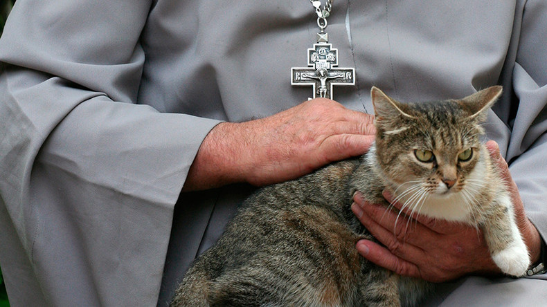 A priest's best friend: Orthodox clerics pose for calendar with their cute cats — RT News