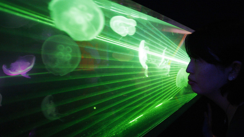 Laser scarecrows: Canadian farmers use high-tech wizardry to battle ...