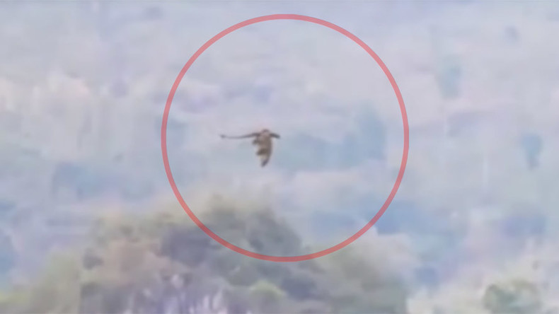 ‘Mysterious dragon’ filmed flying through Chinese mountains (VIDEO ...