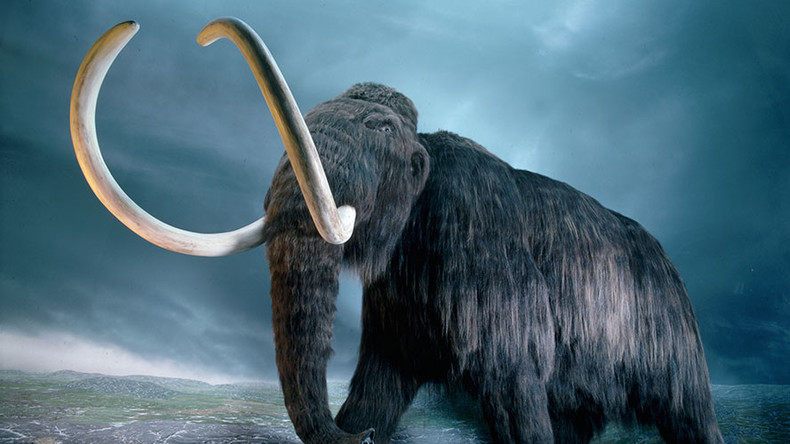Scientists want to 'de-extinct' the woolly mammoth — RT America