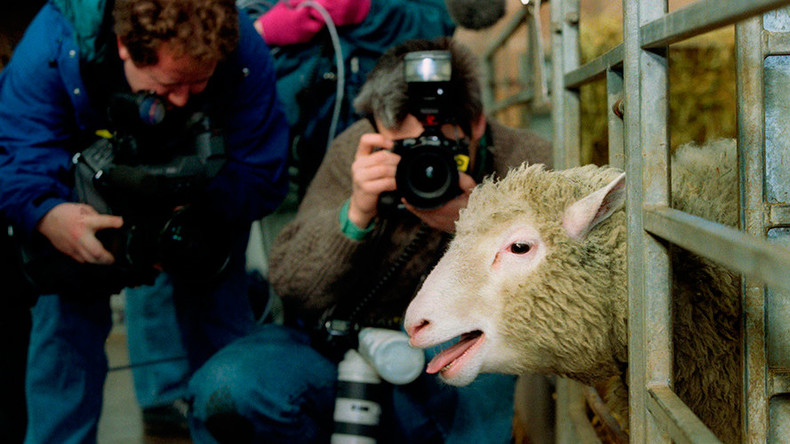 Dolly the sheep: 20yrs on, what’s the state of play in cloning? — RT Viral