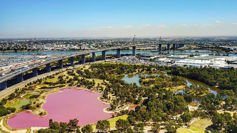 A salt on the senses: Vibrant pink lake sends Melbourne shutterbugs ...