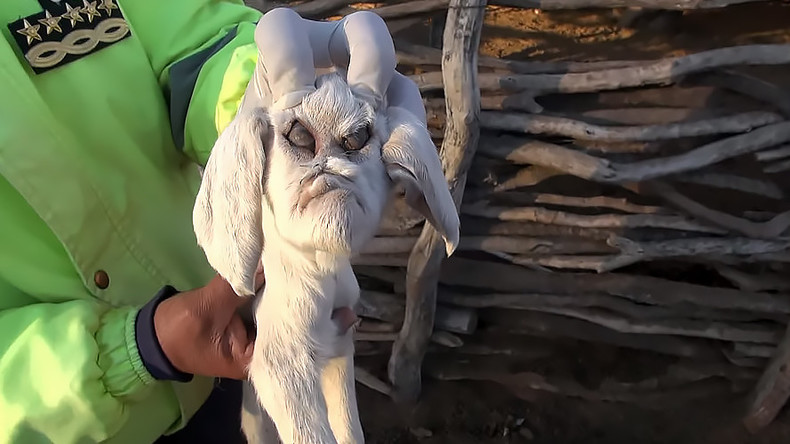 ‘Demon’ goat terrifies locals in Argentina (VIDEO) — RT Viral
