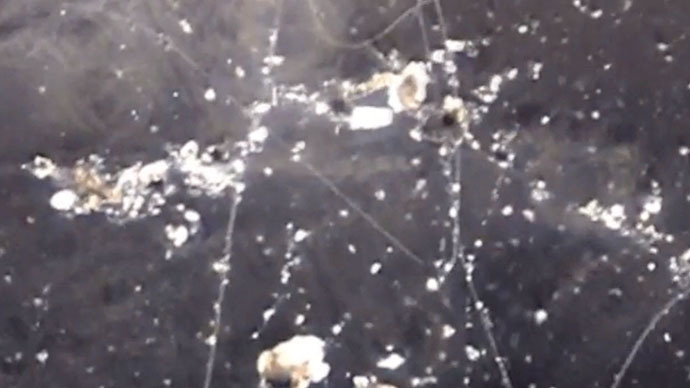 Electric Aliens? Bacteria discovered that exist on pure energy — RT News