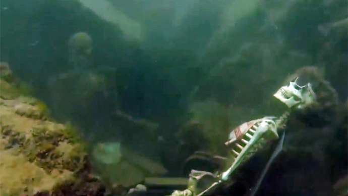 Weekend at Bernie’s 3: Snorkeler discovers underwater skeleton tea ...