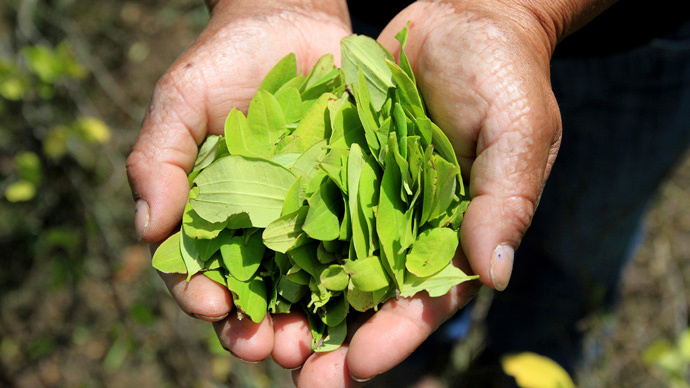 Pope Francis to chew coca leaves during visit to Bolivia – minister ...