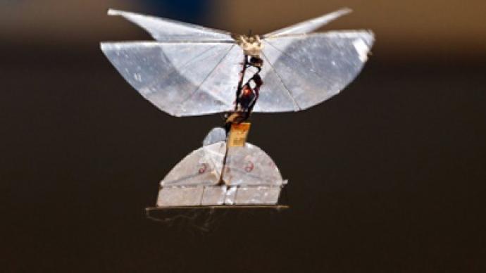 Spy-Butterfly: Israel developing insect drone for indoor surveillance ...