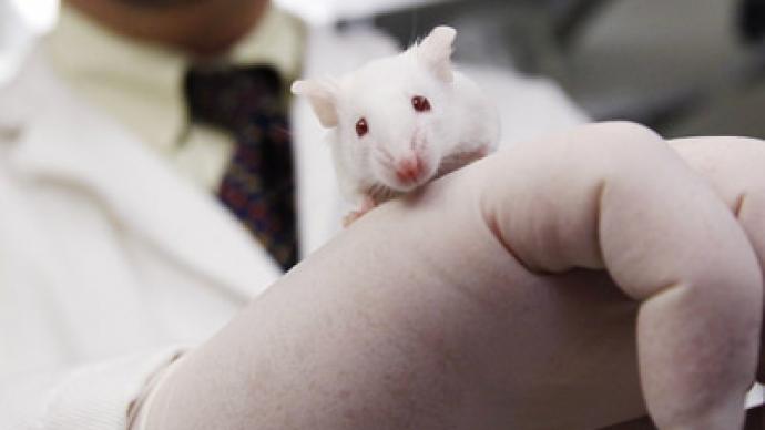 Injection helps blind mice see: Humans next? — RT News