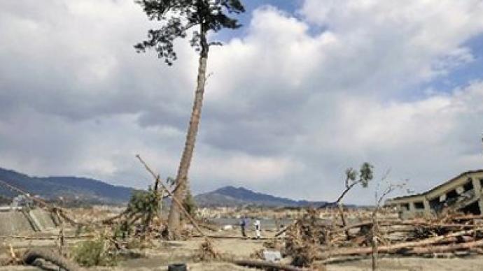 Still standing: tree beacons hope to Japan — RT News
